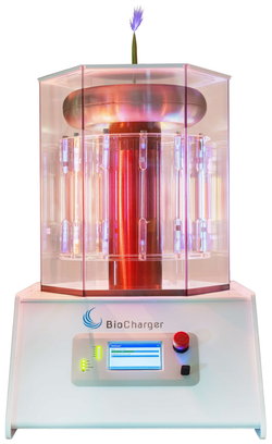 High Voltage Study - Quantum Pulse Reviews